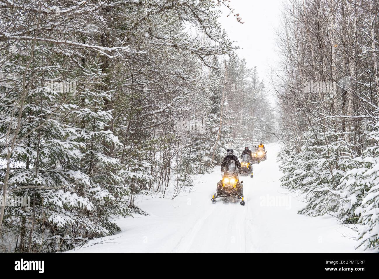Canada, Quebec Province, Lac Taureau Regional Park, snowmobile on track ...