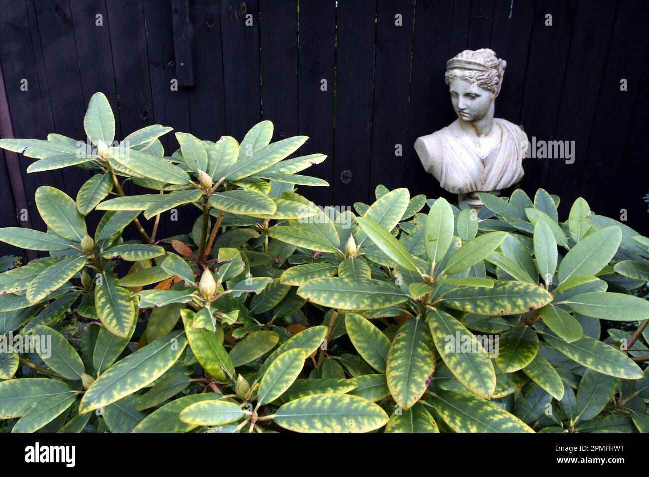 Worn sculpture hi-res stock photography and images - Alamy