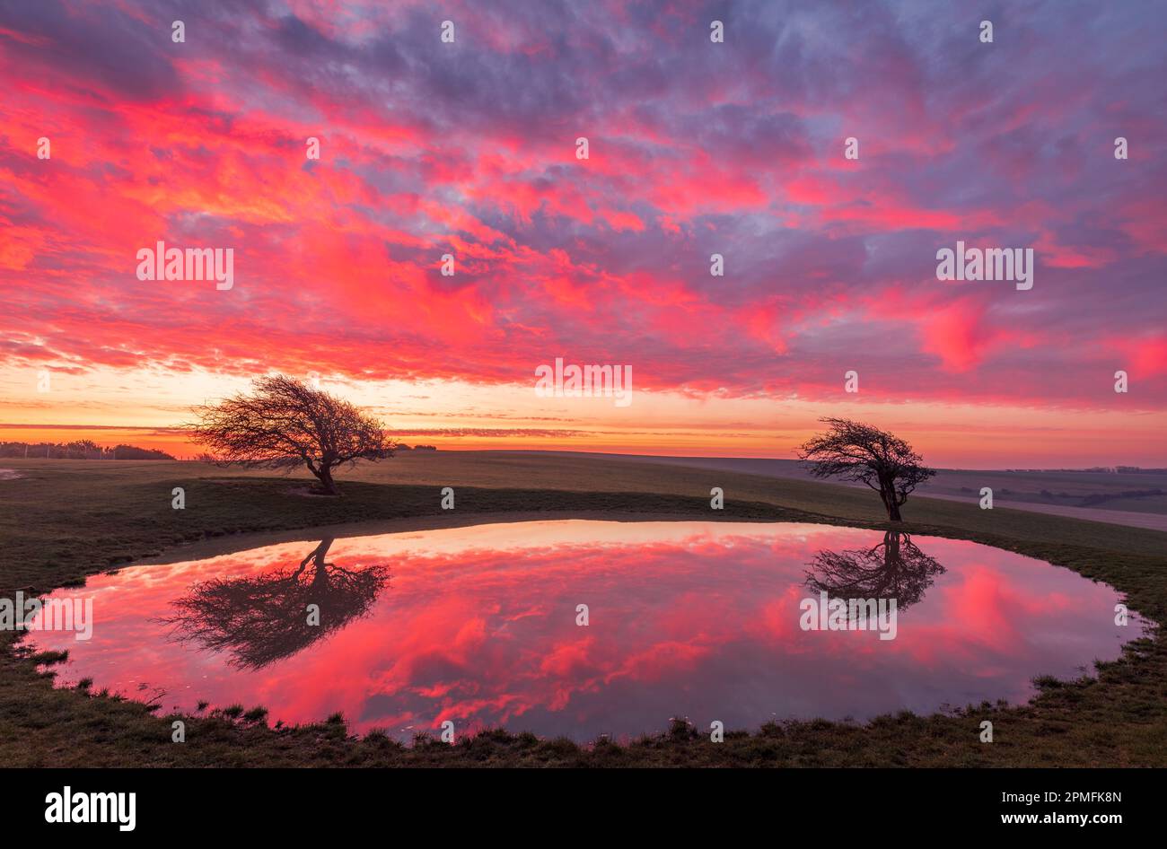 Vibrant dawn sky reflecting in the Ditchling beacon dew pond on the ...