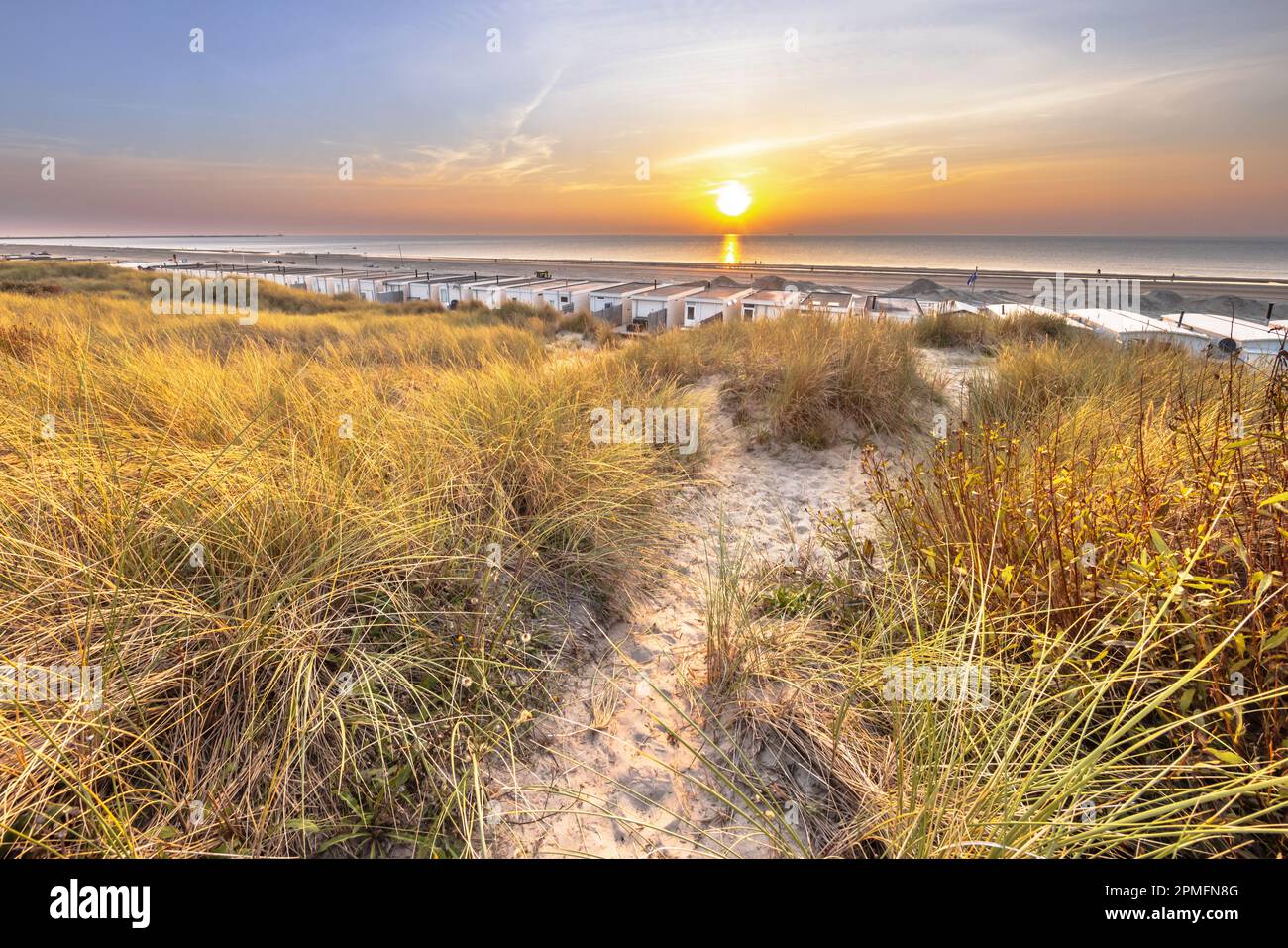 Trail through dune landscape on the coastline of North Sea. Wijk aan ...