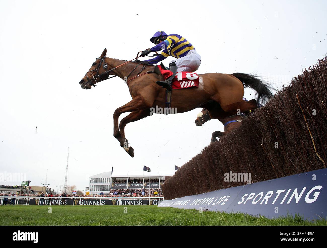 Cheltenham 2022 festival winning post hi-res stock photography and ...