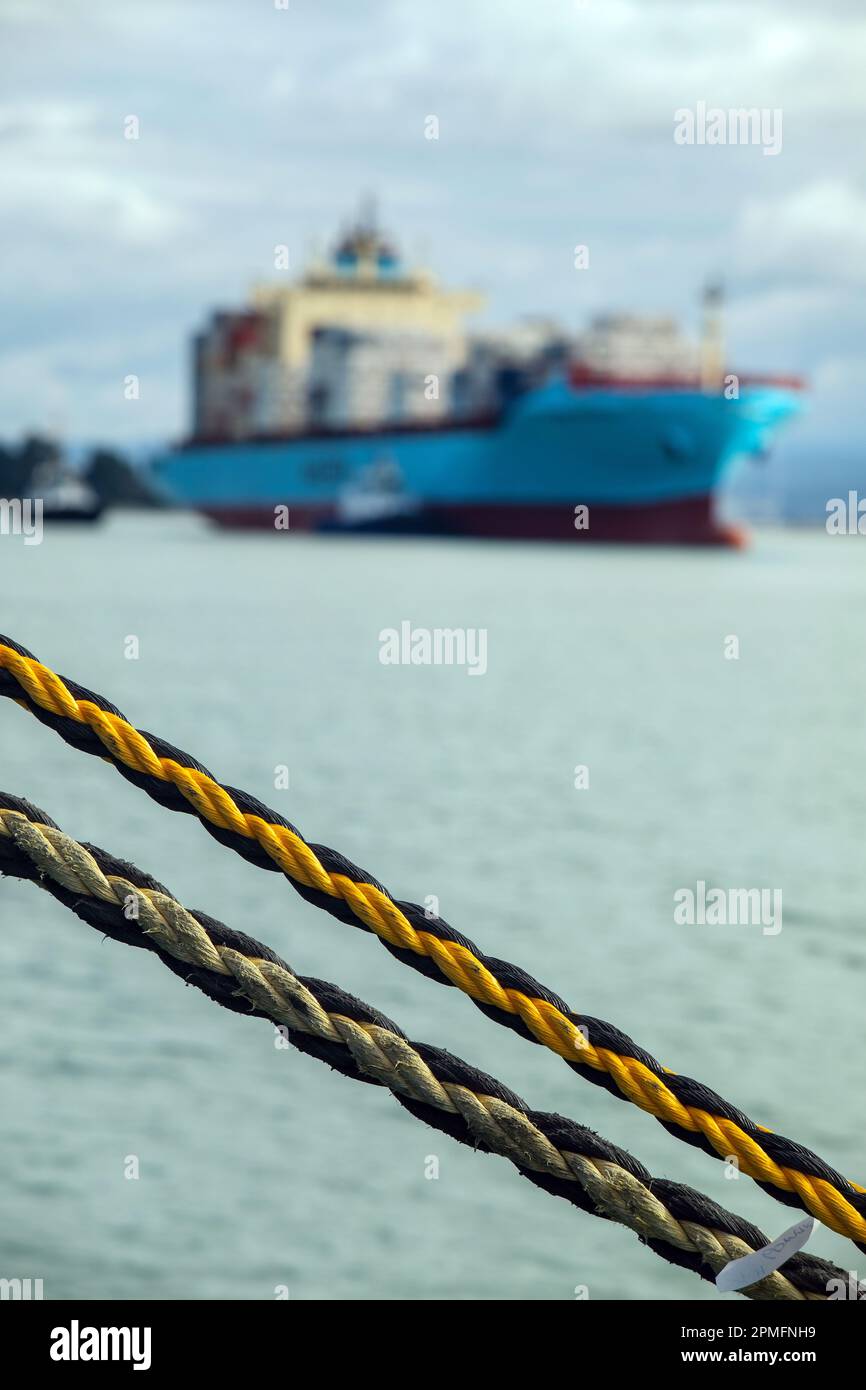 Picture by Tim Cuff - 13 April 2023 - Activity around Port Nelson, as ...