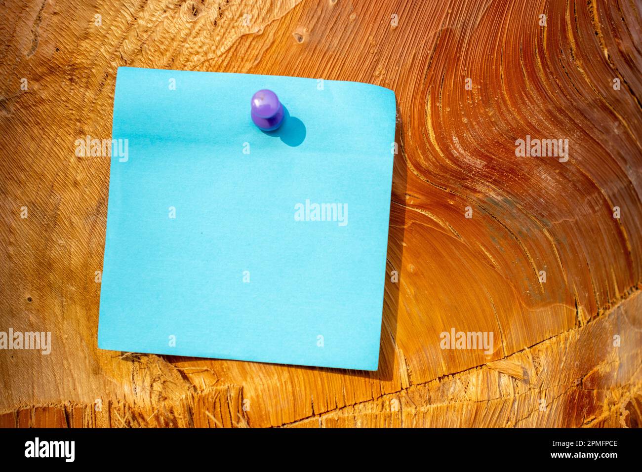 single blue square paper note with purple mapping pin on orange palm ...