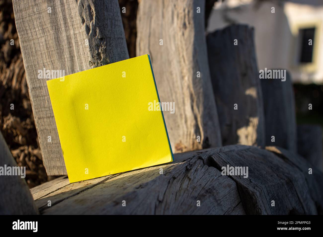 single yellow square paper note resting on bleached drift wood with ...