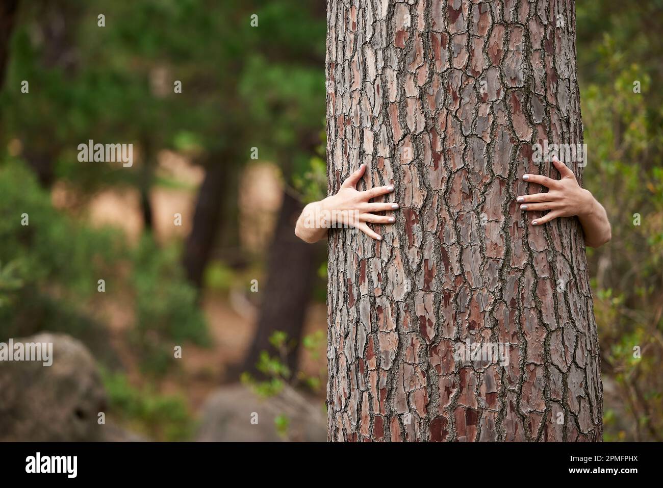 Nature, environment and person with a tree hug for sustainability, planet love and ecology ...