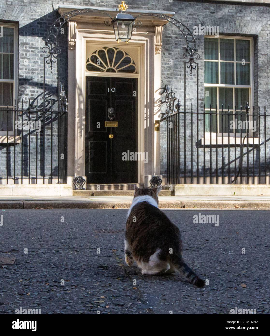 London, England, UK. 13th Apr, 2023. UK Prime Minister's office's cat ...