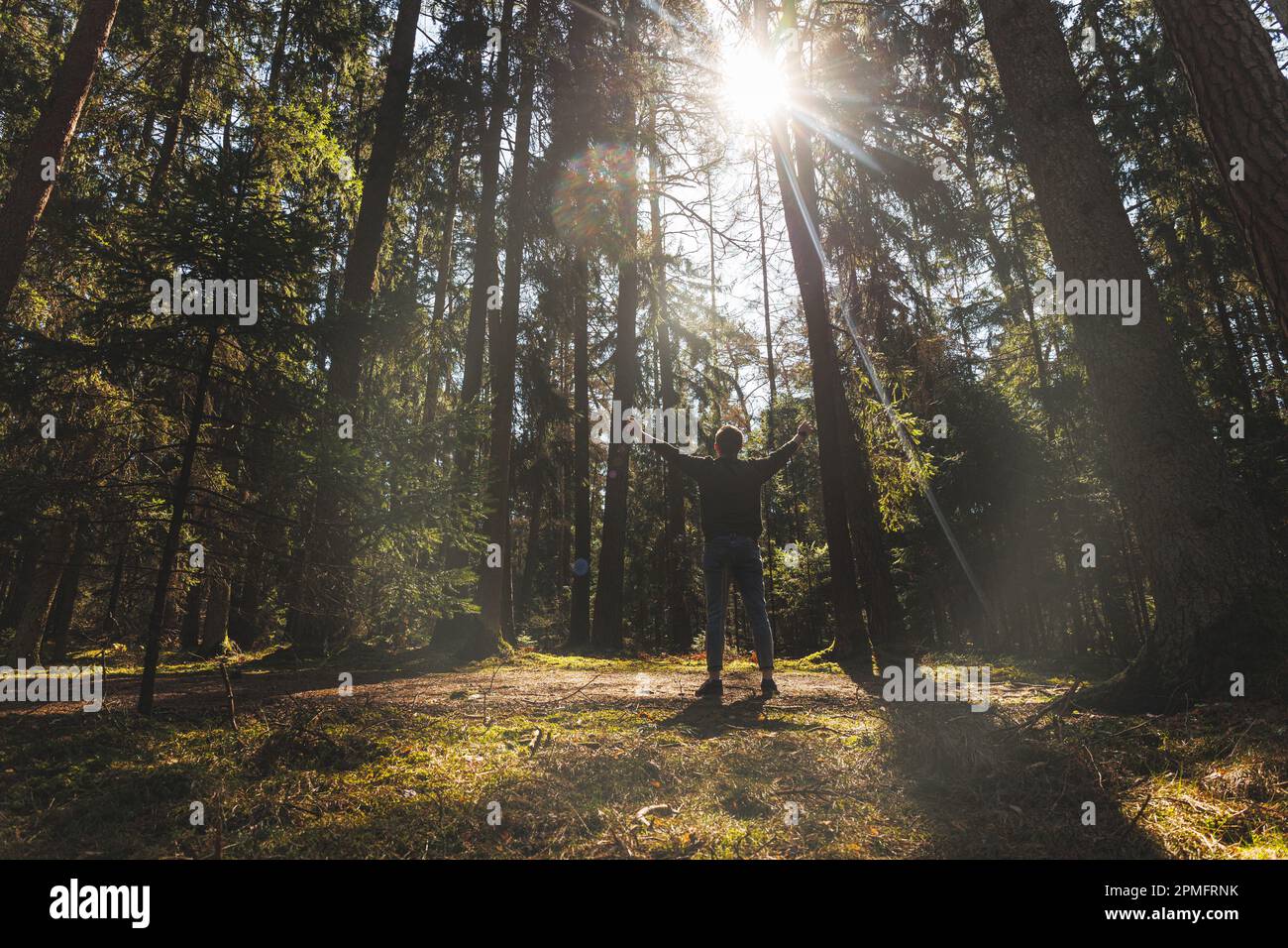 Relaxed man stand in the forest with arms outstretched. Happy male ...