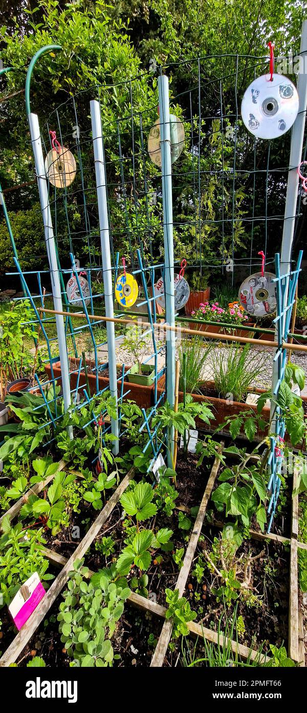 Early spring gardening, Bron, France Stock Photo - Alamy