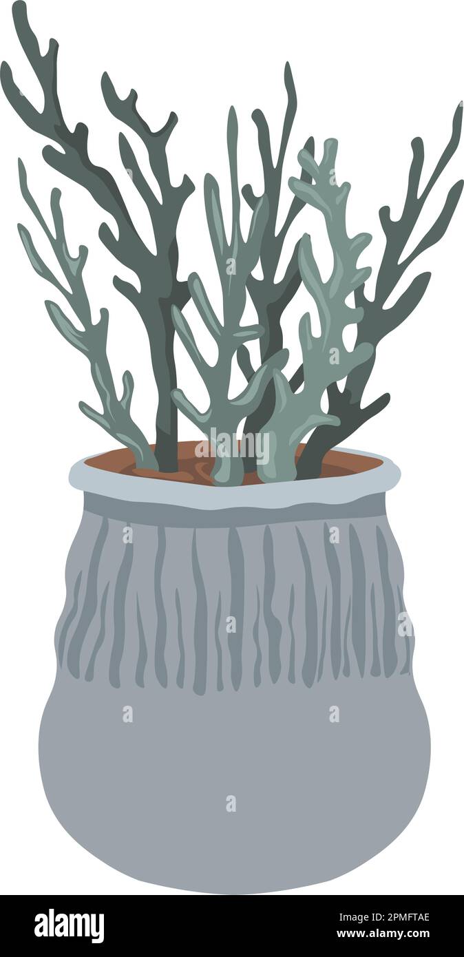 Potted house plant with foliage and stems, isolated flora with leaves ...