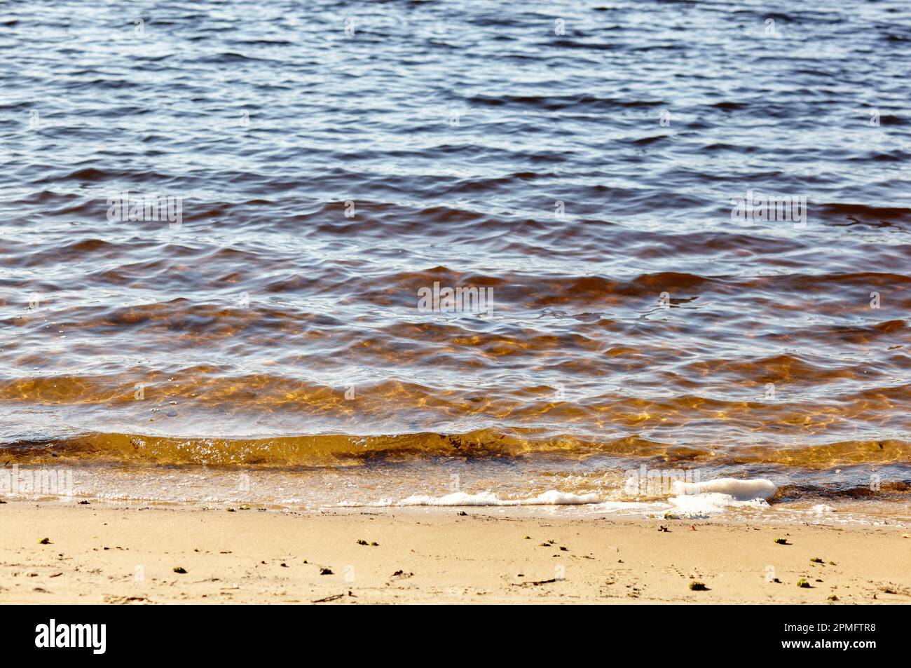 Water's edge on the shore. Wave of blue sea on sandy beach. Beautiful ...