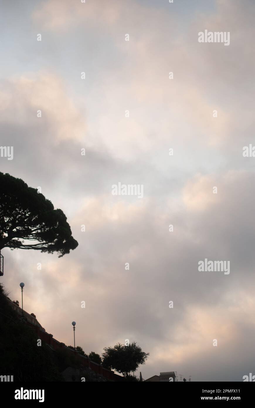 Trees on stream side hi-res stock photography and images - Alamy