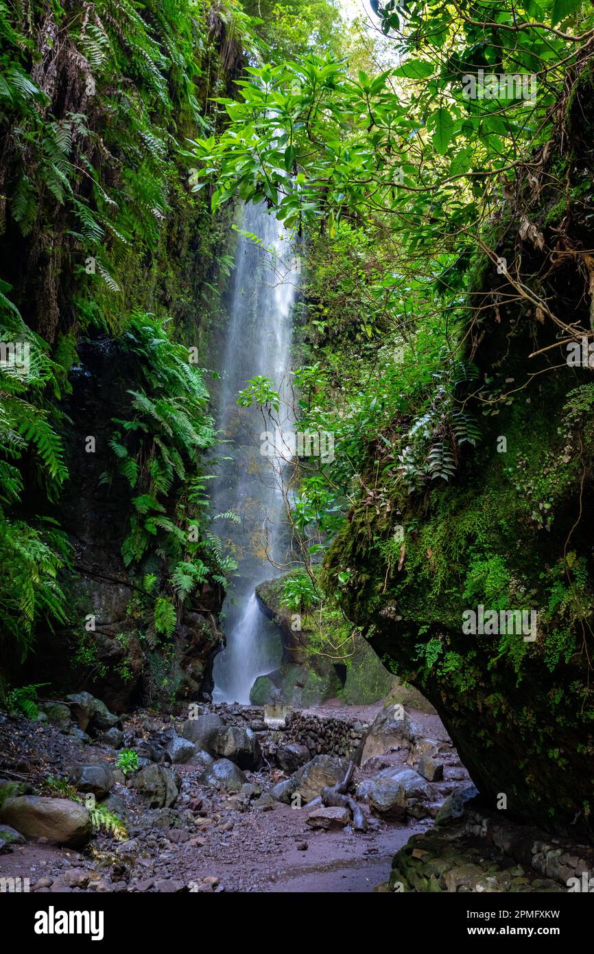 Waterfall at Los Tilos, La Palma, Canary Islands. Spain Stock Photo - Alamy