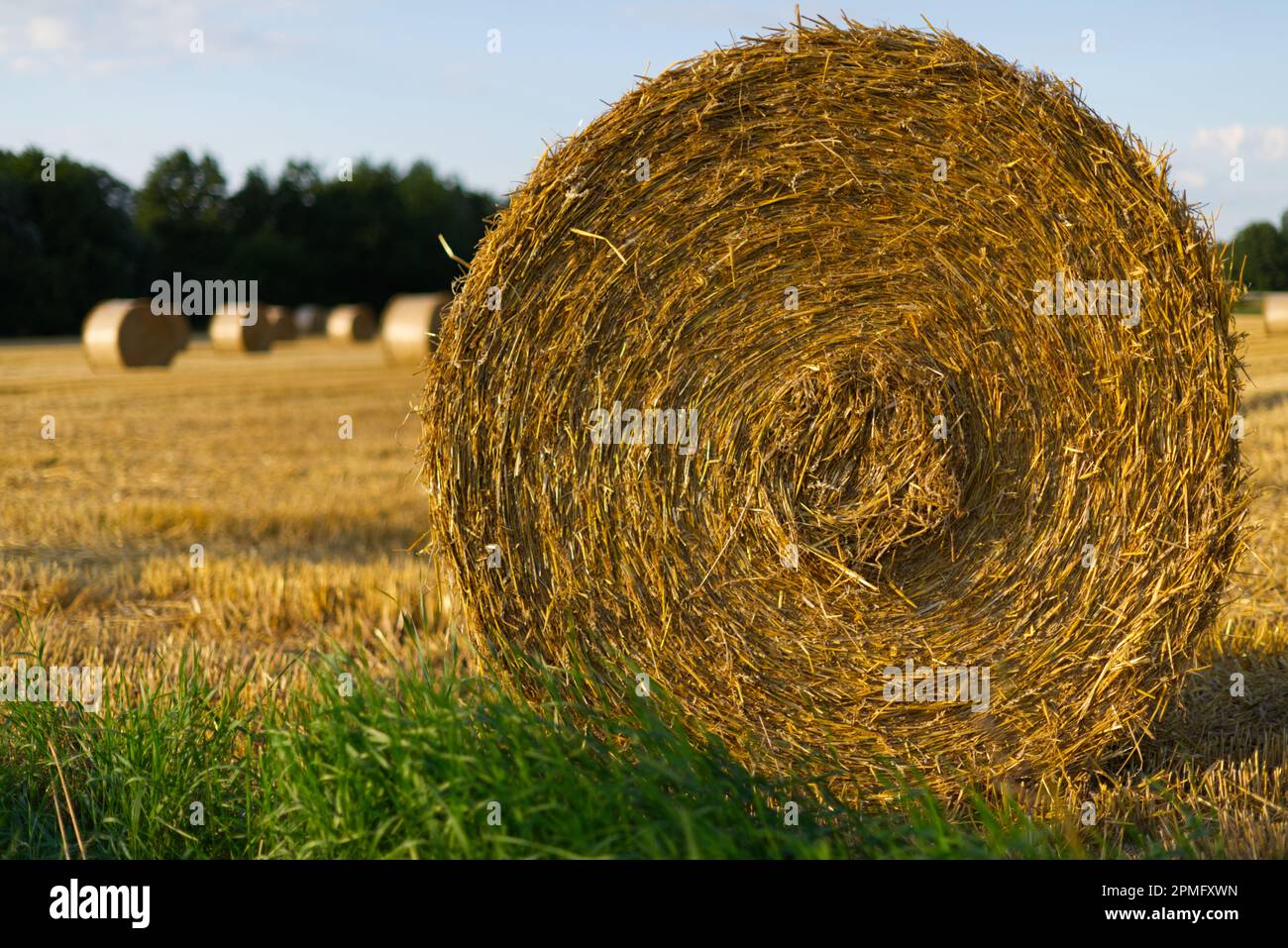 Straw bales on a field Stock Photo - Alamy