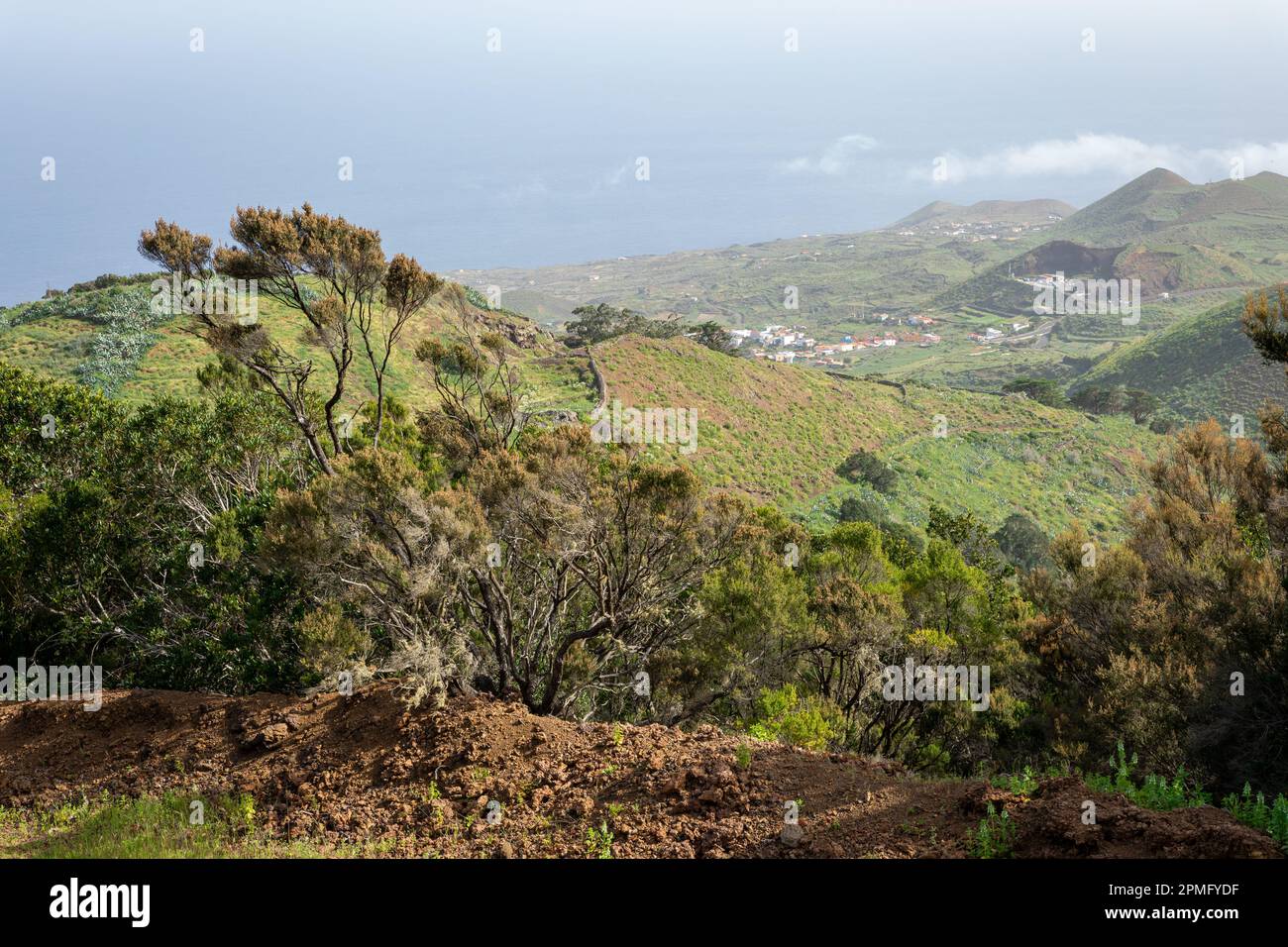 El Hierro Island. Green Volcanic Hills near Villa de Valverde at El ...