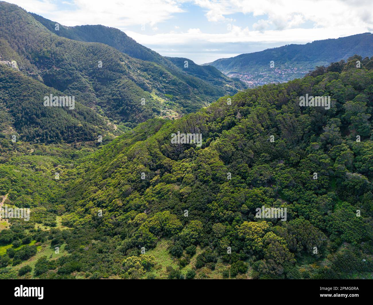 Madeira. Boca do Risco Aerial View. Steep Cliffs over the Atlantic ...