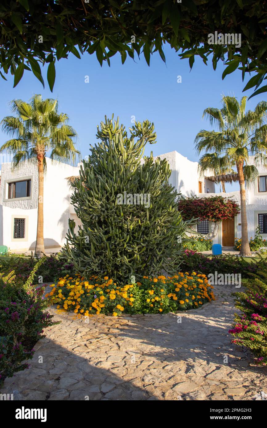 SHARM EL SHEIKH, EGYPT - JANUARY 27, 2023 Labranda Sharm Club rooms ...