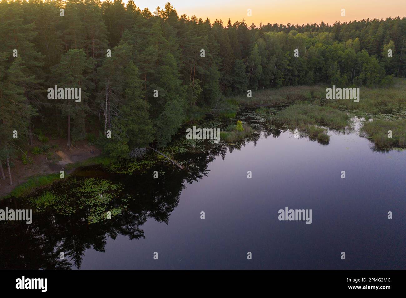 Drone photography of lake, lakeside and water flora during summer ...
