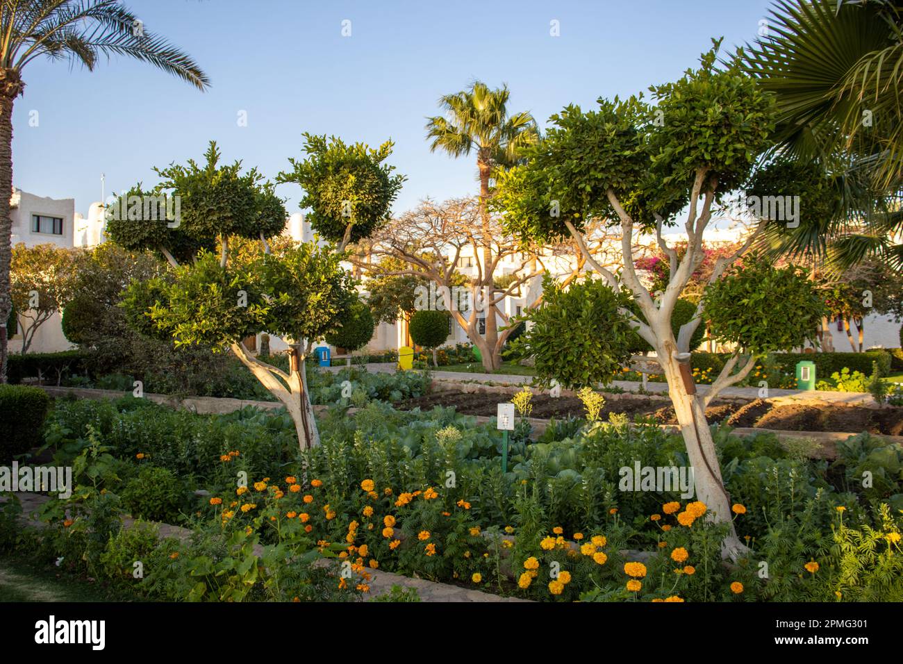 SHARM EL SHEIKH, EGYPT - JANUARY 27, 2023 Labranda Sharm Club ...