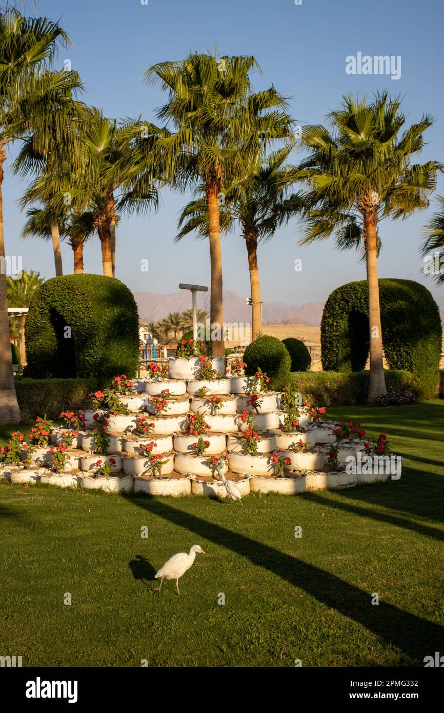 SHARM EL SHEIKH, EGYPT - JANUARY 27, 2023 Labranda Sharm Club with ...