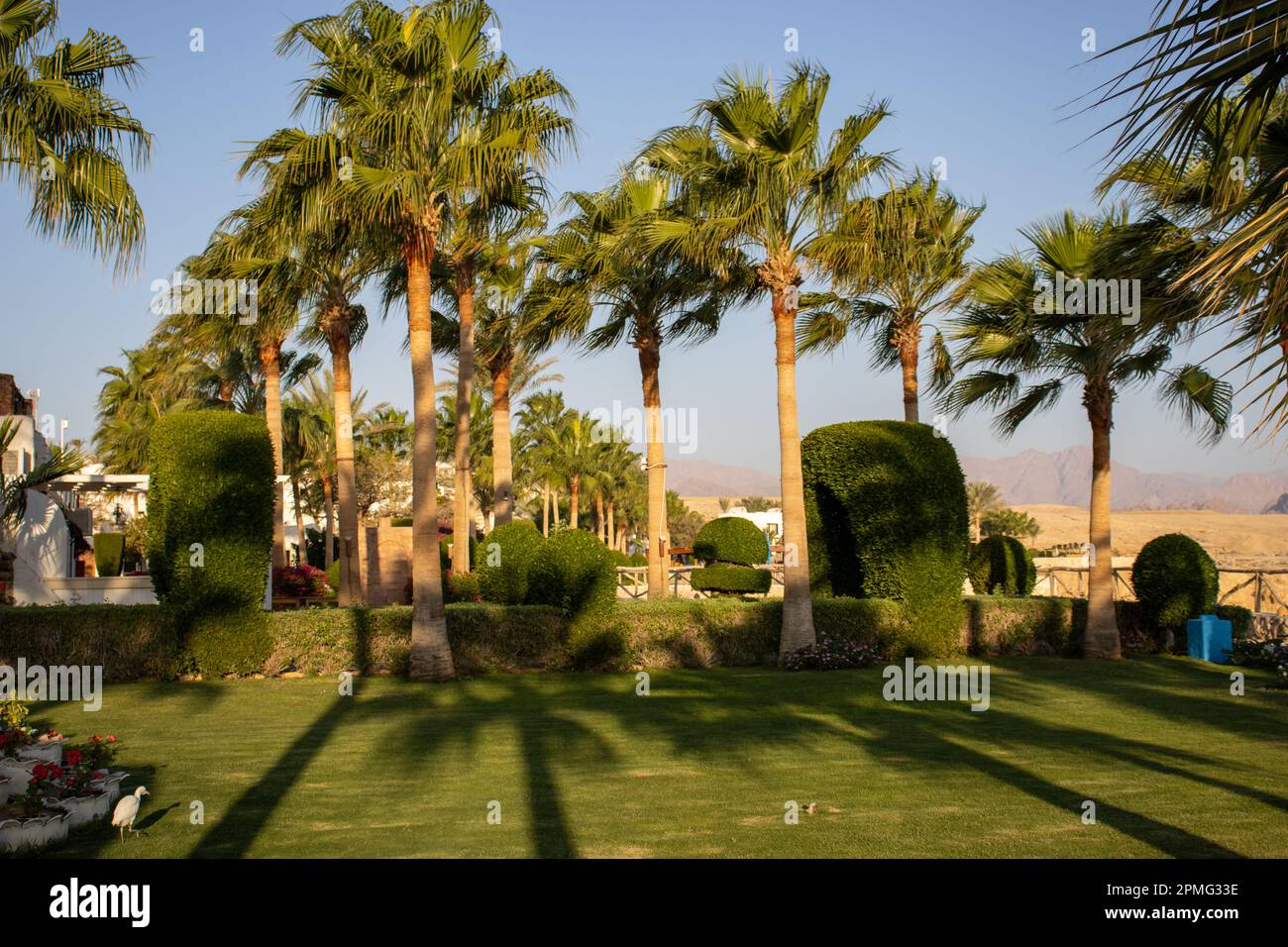 SHARM EL SHEIKH, EGYPT - JANUARY 27, 2023 Labranda Sharm Club with ...