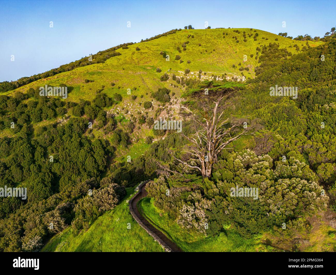 Aerial View at Green Volcanic Hills near Villa de Valverde at El Hierro ...