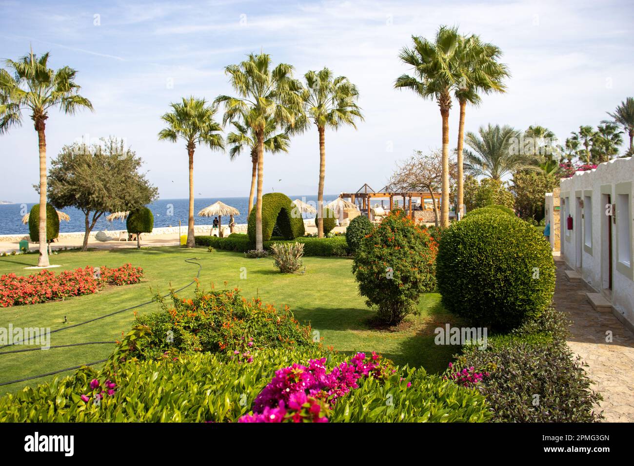 SHARM EL SHEIKH, EGYPT - JANUARY 29, 2023 Labranda Sharm Club with ...