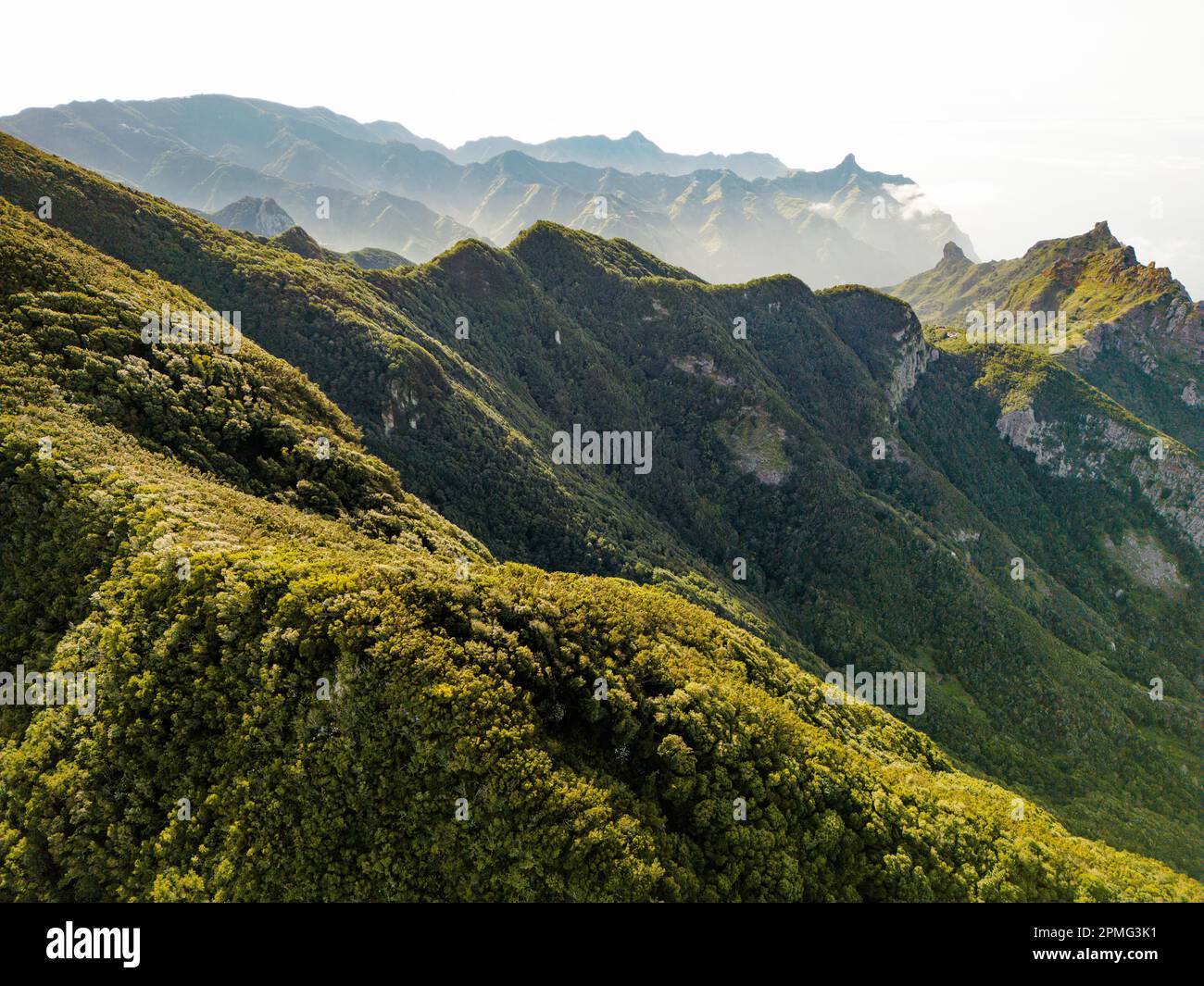 Aerial View of Beautiful Mountains of the Anaga Rural Park in Tenerife ...