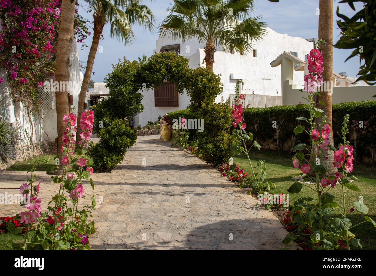 SHARM EL SHEIKH, EGYPT - JANUARY 29, 2023 Labranda Sharm Club garden ...
