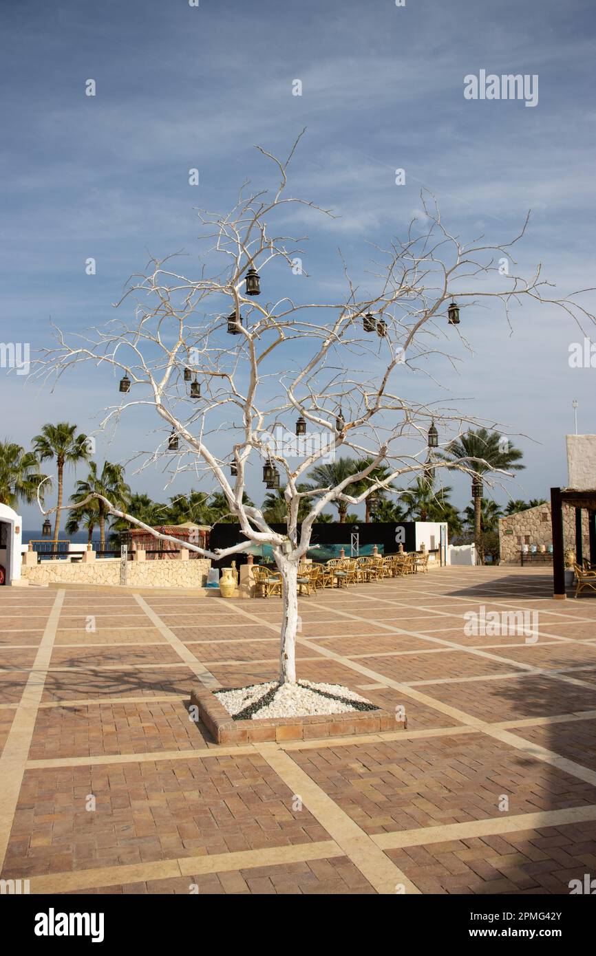 SHARM EL SHEIKH, EGYPT - JANUARY 29, 2023 Labranda Sharm Club white ...