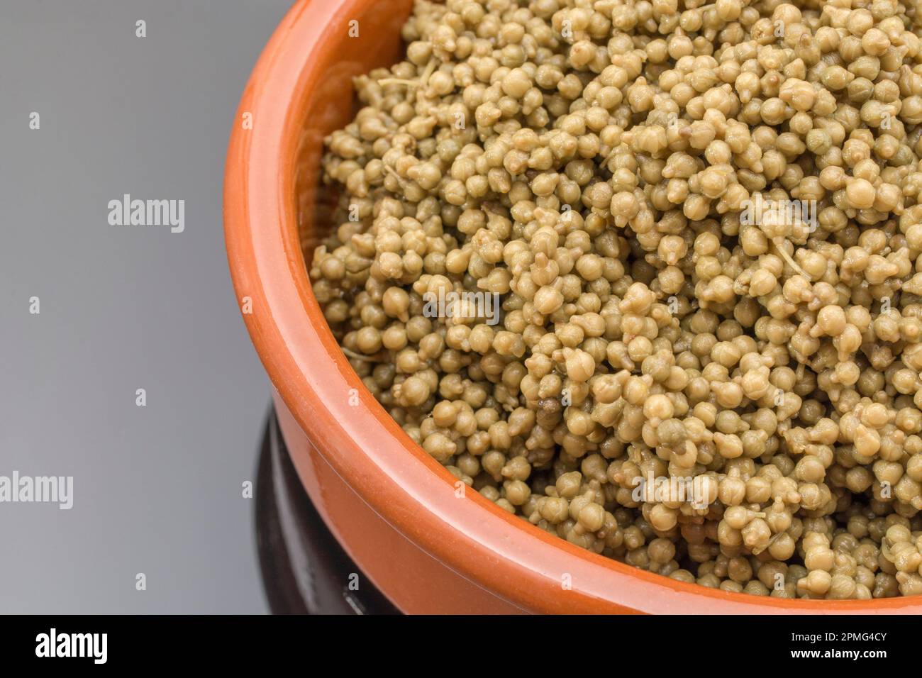 Close shot of pickled elderflower buds - from the Common Elder ...
