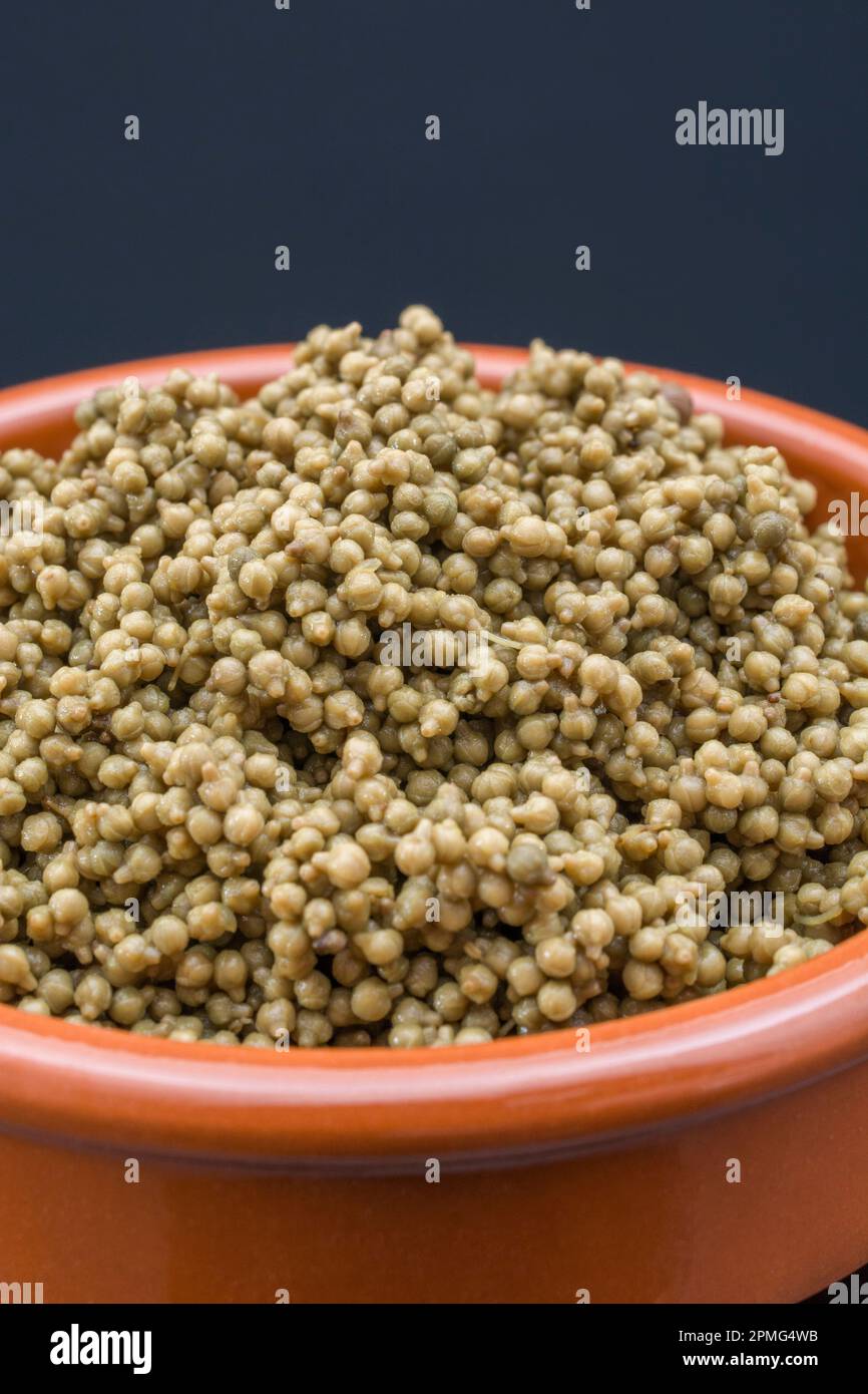 Close shot of pickled elderflower buds - from the Common Elder ...