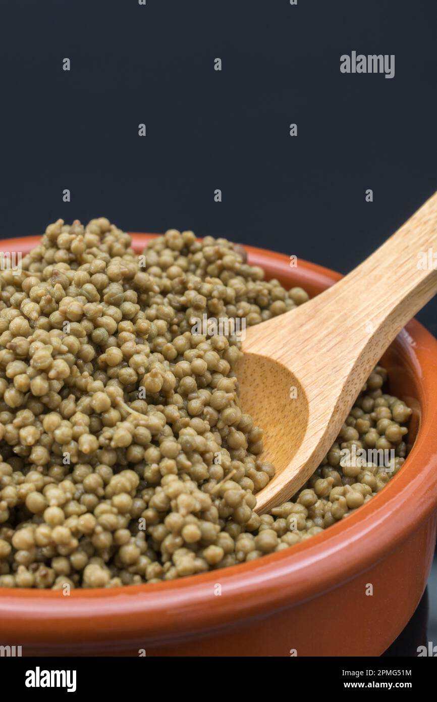 Close shot of pickled elderflower buds - from the Common Elder ...
