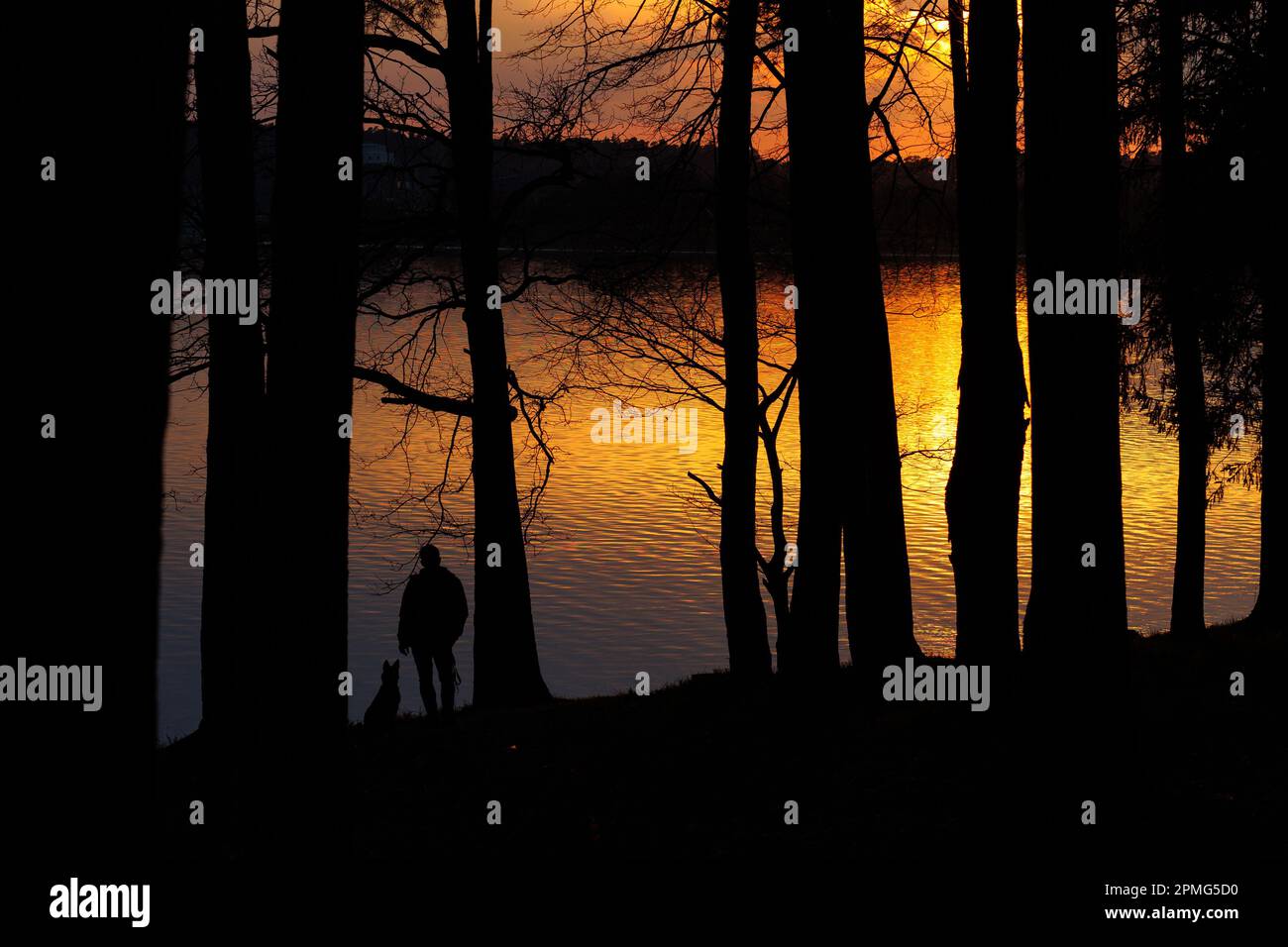 Man with a dog standing near the lake in the light of sunset surrounded ...