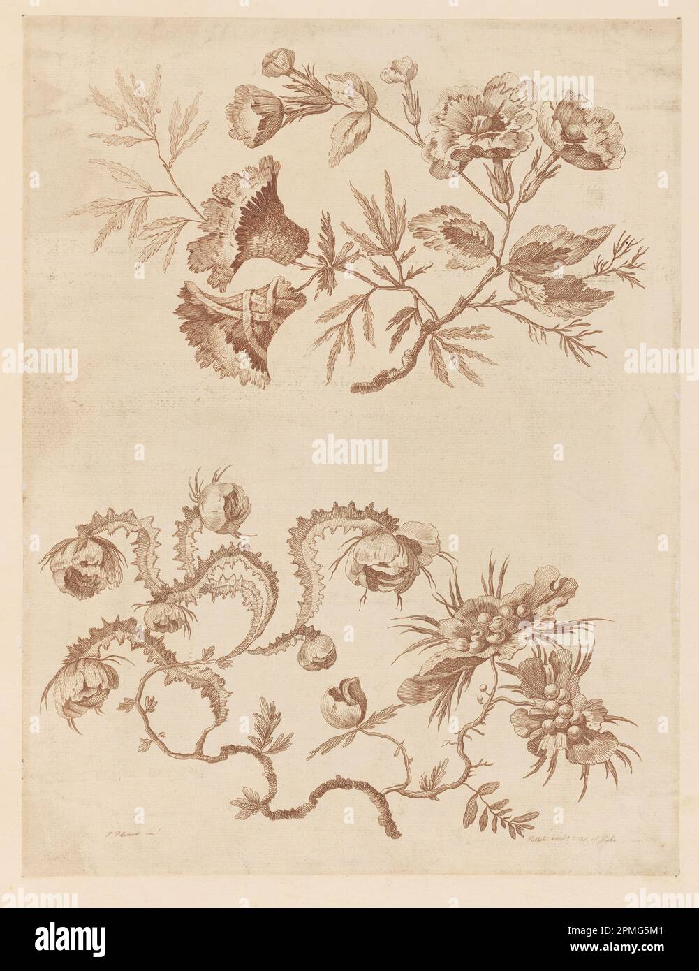 Print, Flower Boughs, from "Recueil de Differentes Fleurs de Fantaisie ...