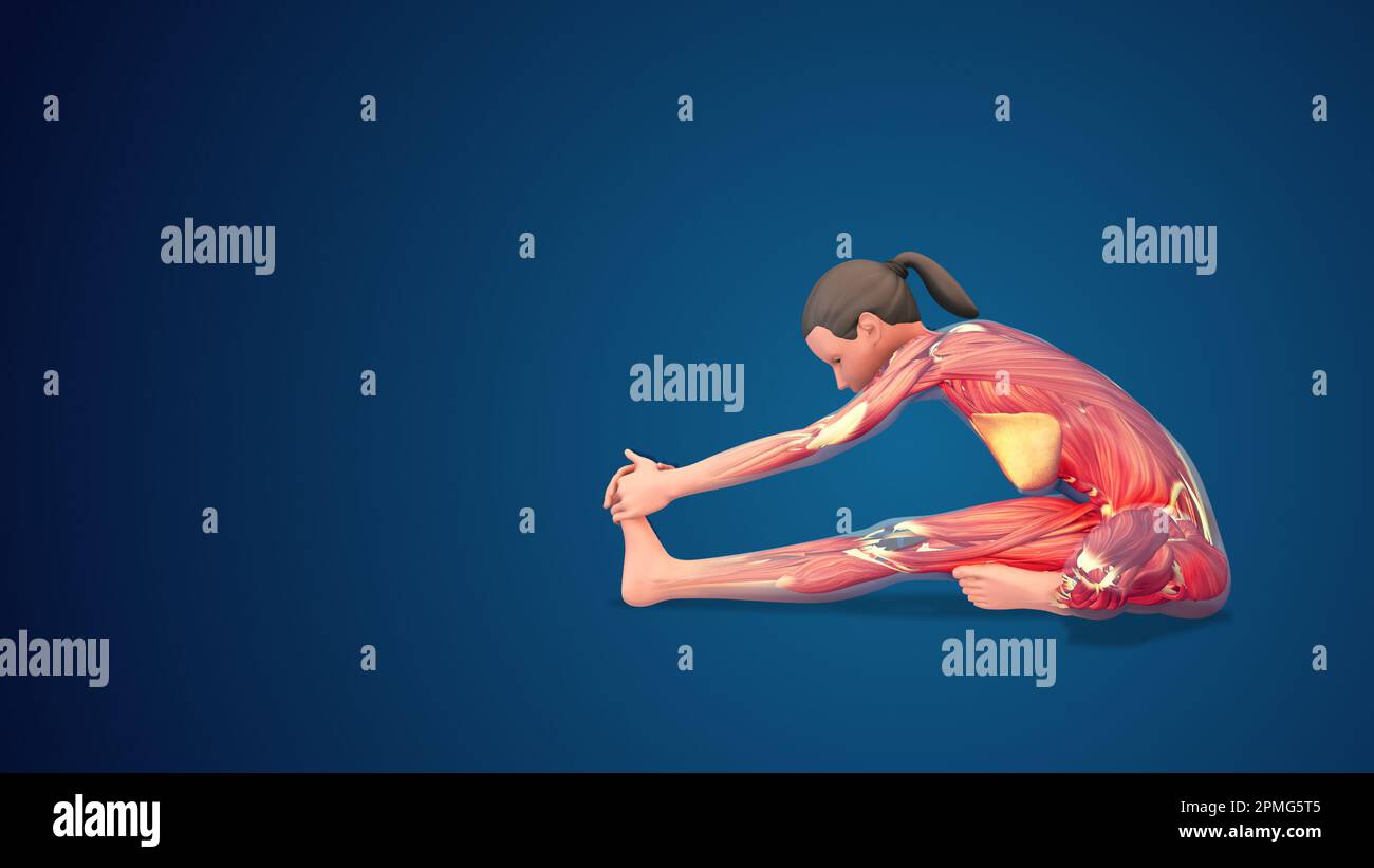 3D human Mahamudra or The Great Seal yoga pose on blue background Stock ...