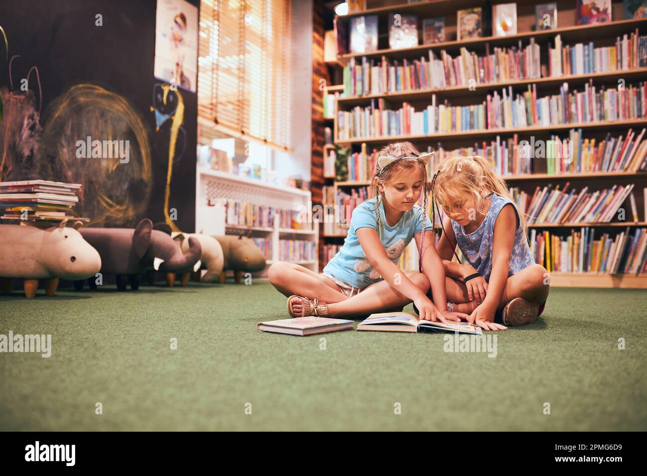 Two primary students reading books in school library. Schoolgirls ...