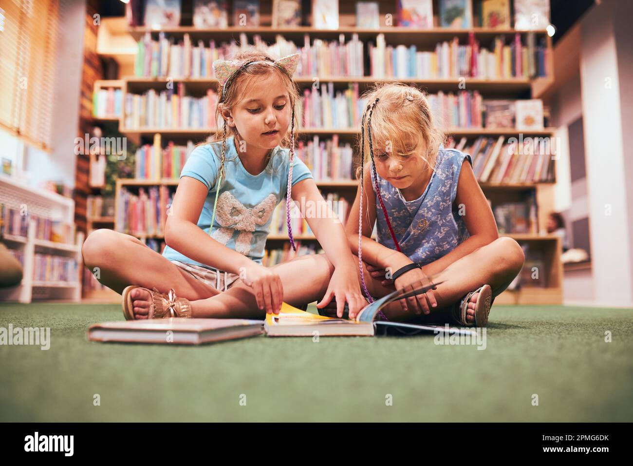 Two schoolgirls reading books in school library. Primary school ...
