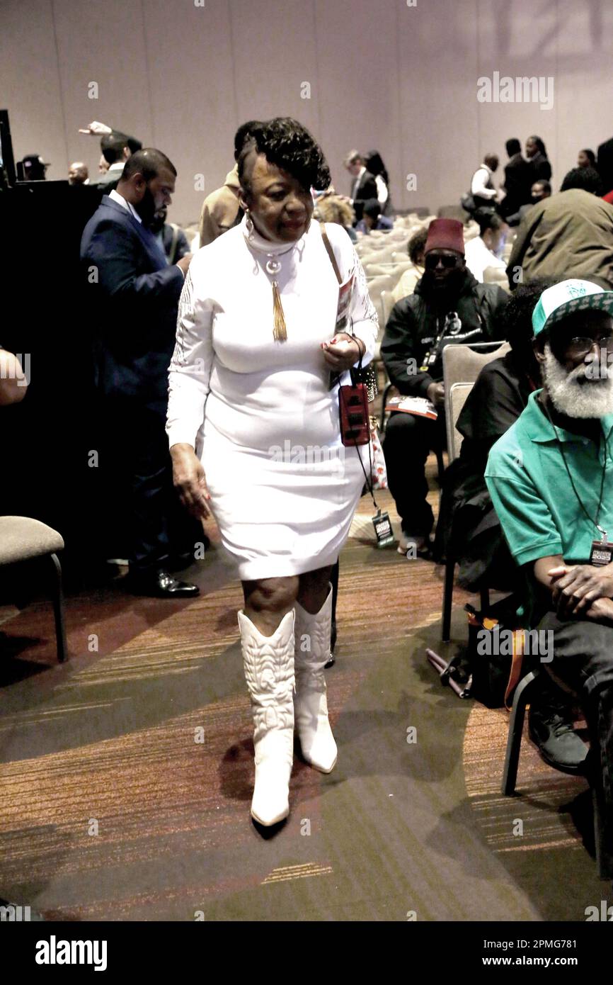 NEW YORK, NY - April 12: Human Rights Activist Gwen Carr attends the ...