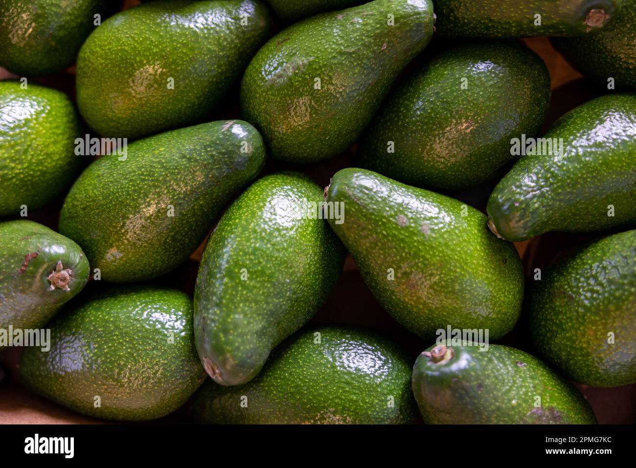 Big avocados hi-res stock photography and images - Alamy