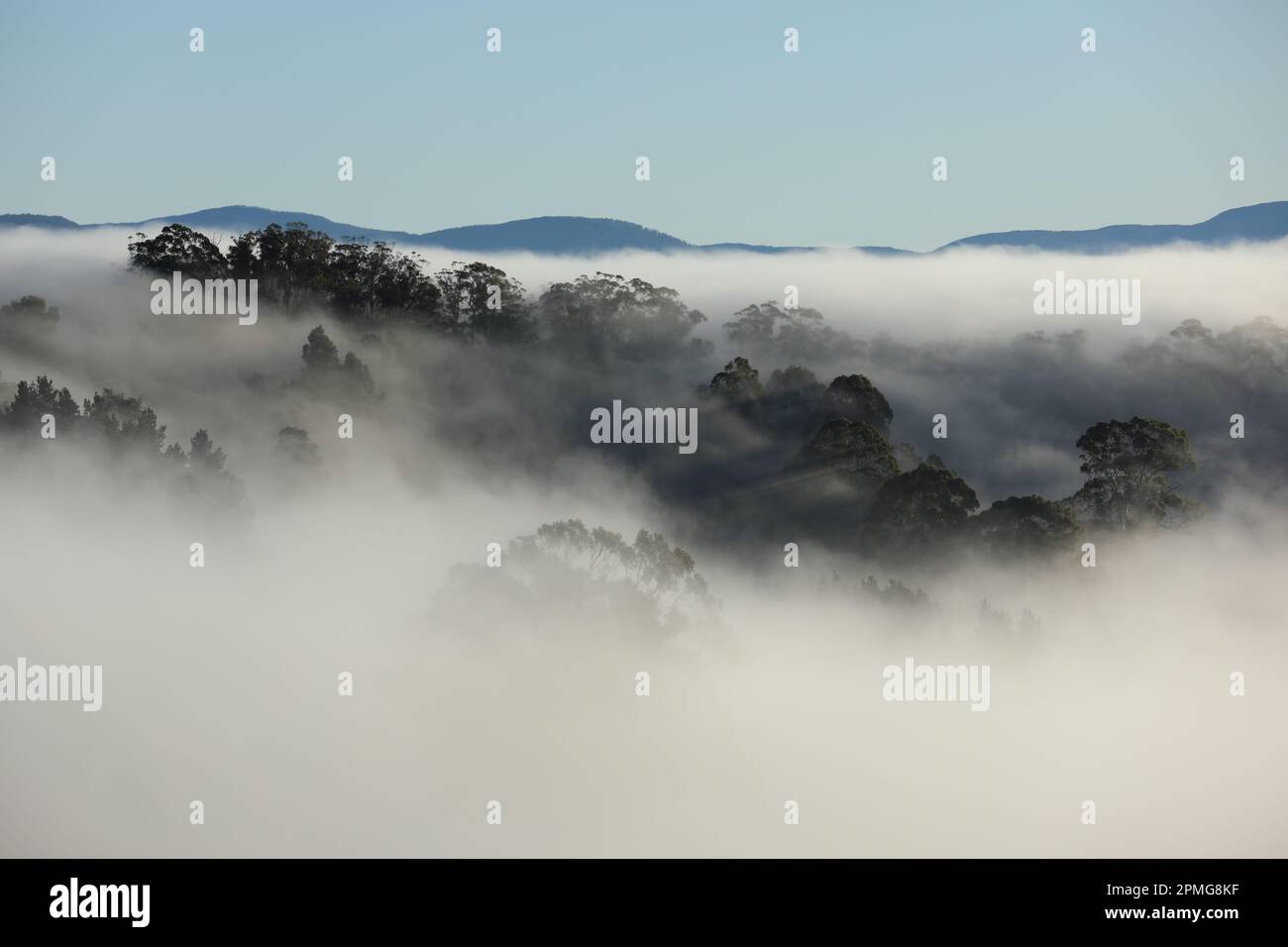 A scenic landscape of trees, fog, and mountain ranges viewed from an ...