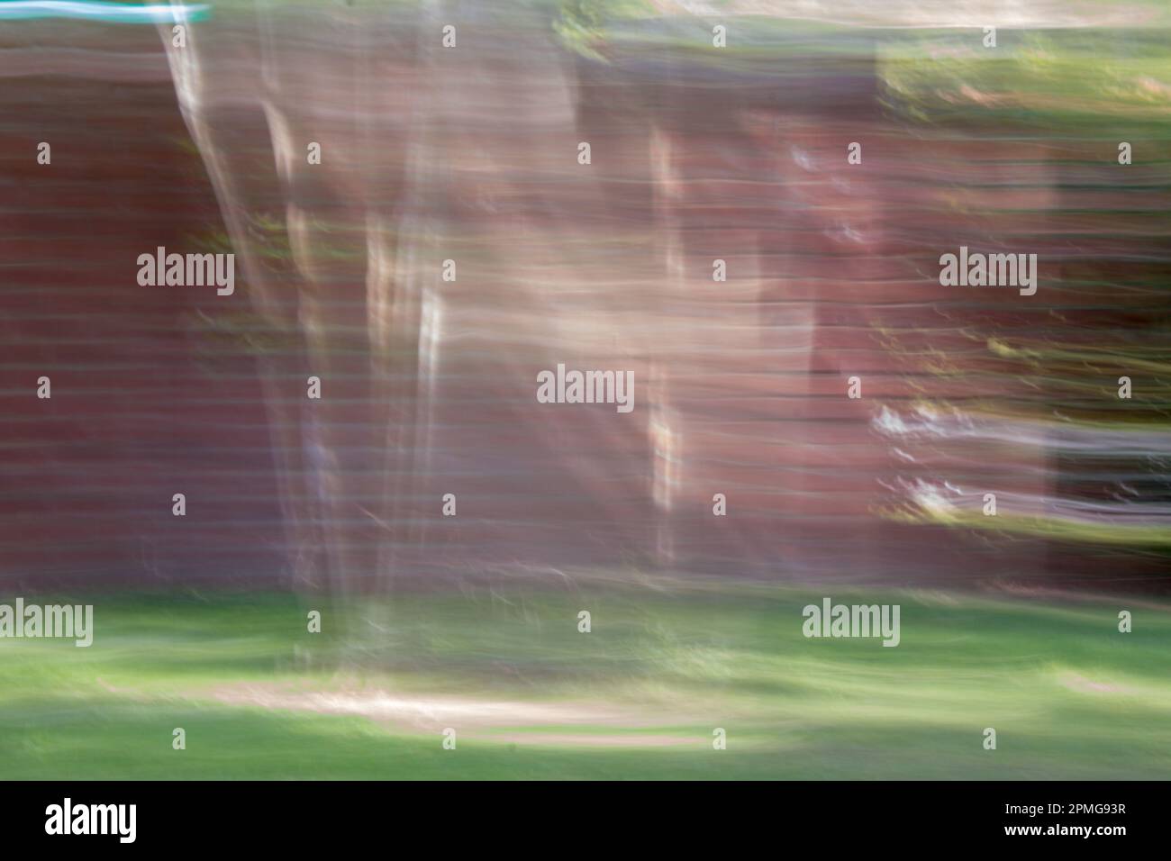CM Photography, Intentional Camera Movement Photography, Blurring the ...