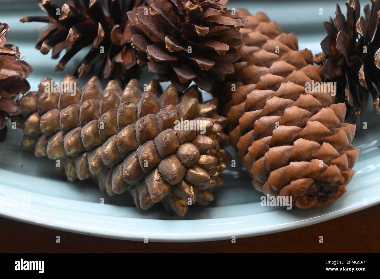 Decorative fir cones hi-res stock photography and images - Alamy