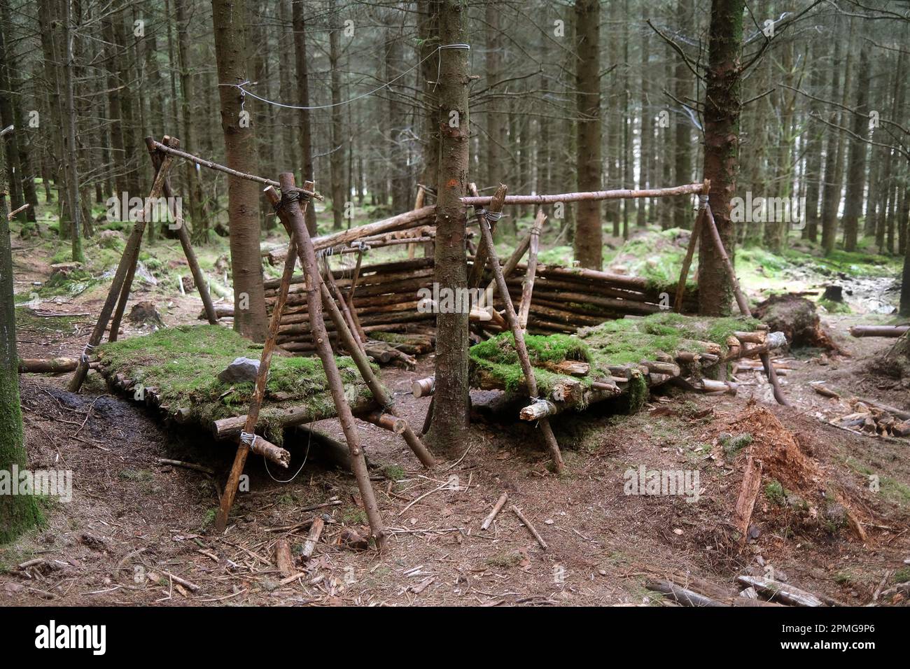 March 2023 - Wood crafting skill used to set up a wild camp in the ...