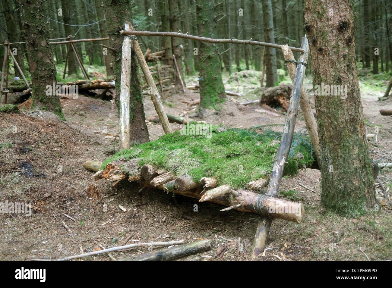 March 2023 - Wood crafting skill used to set up a wild camp in the ... March 2023 - Wood crafting skill used to set up a wild camp in the ...