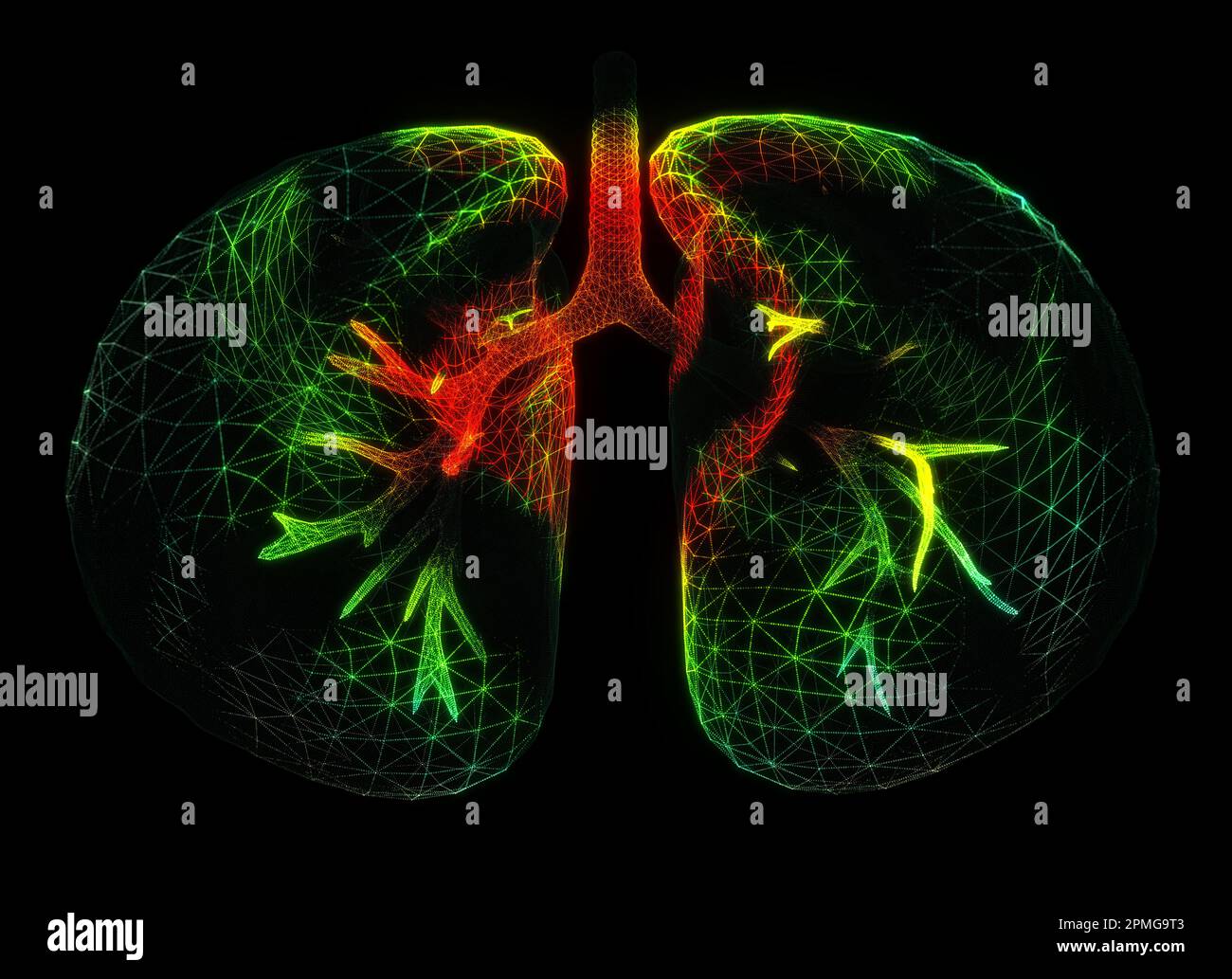 Lungs and human body. Abstract 3d lungs on body background. Human ...