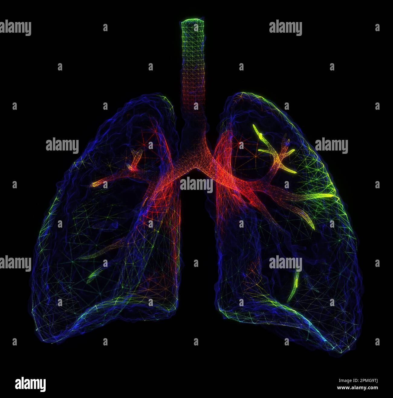 Lungs Abstract image of a human lungs in the form of sky or space ...