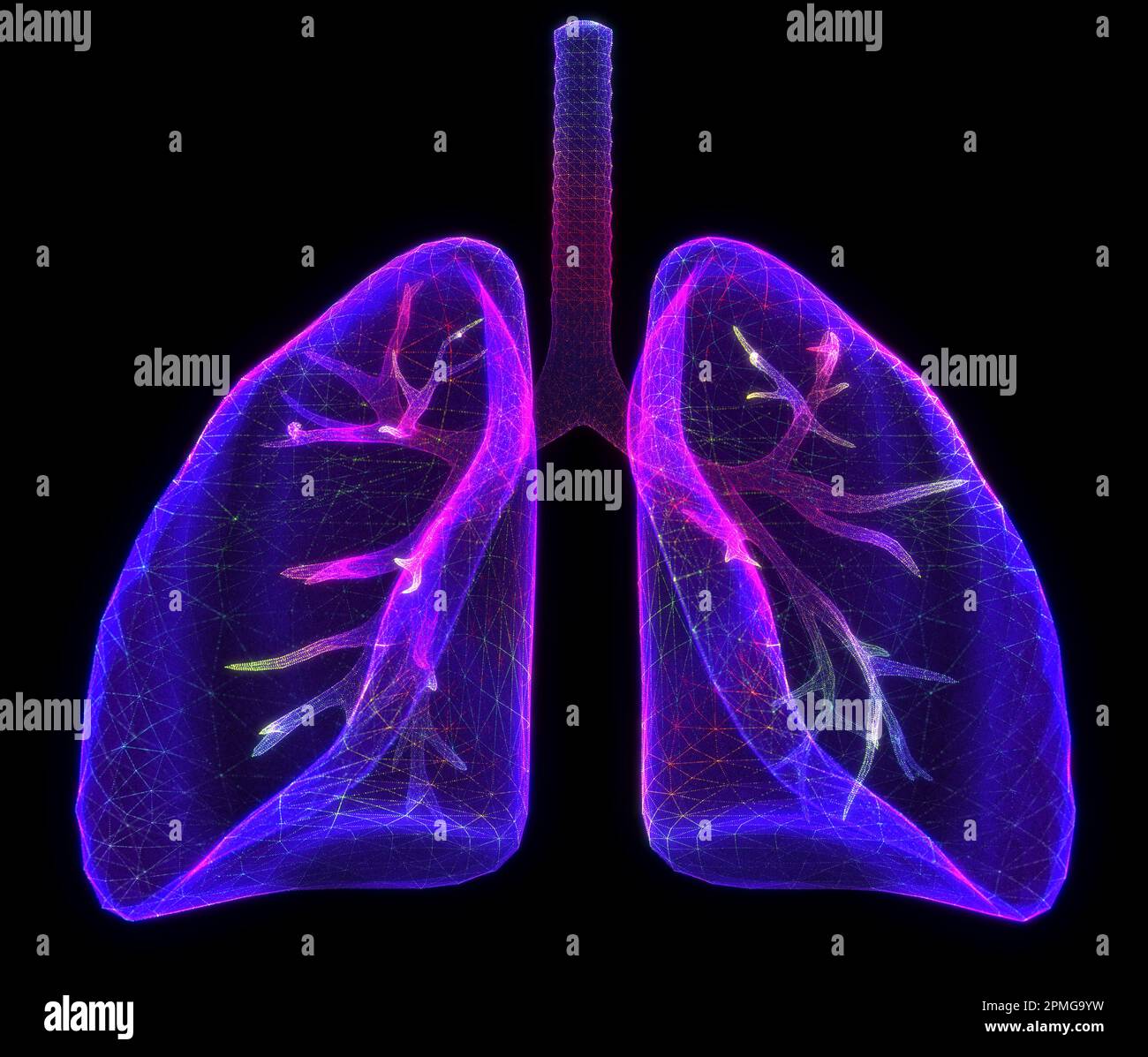 Lung. Abstract 3d lungs. Human health, respiratory system, pneumonia ...
