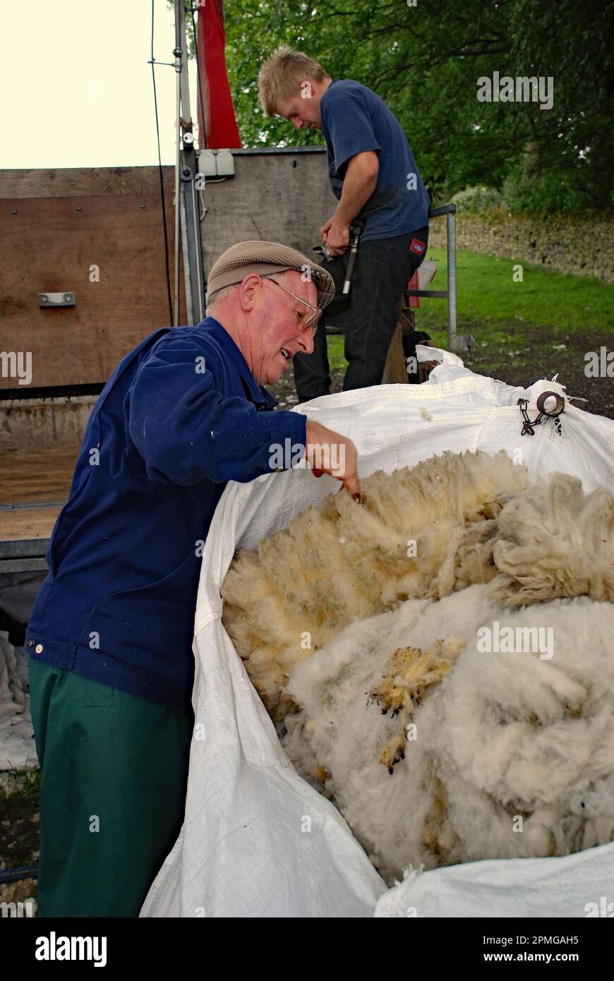 Pressing the fleece into a bale ready for the wool hi-res stock ...