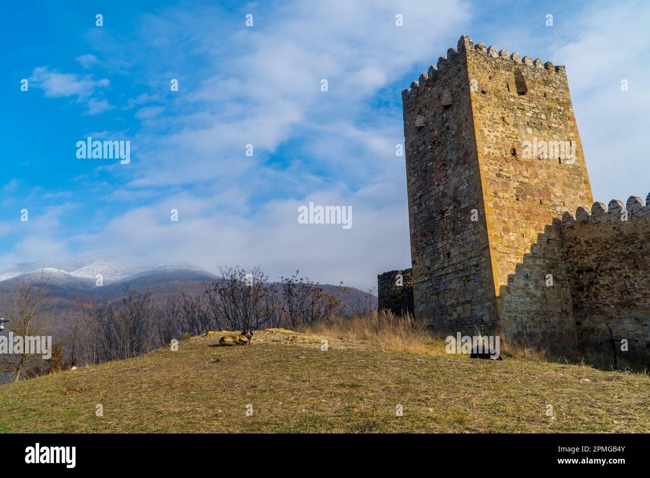 The historic 13th-century Ananuri Fortress under a bright blue sky in ...