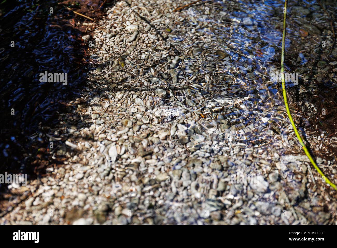 Forest spring water texture and little rocks underwater Stock Photo - Alamy
